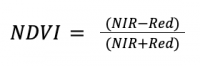 A Guide on NDVI, NDWI and Derived Bands - Arlula