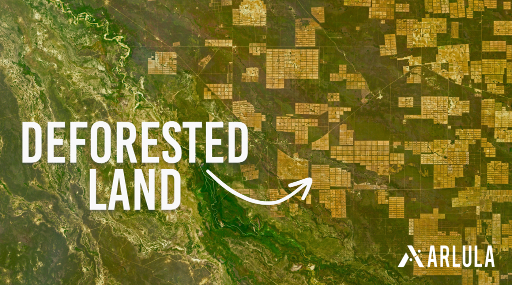 How Satellite Imagery Assists in Reforestation Strategies - Arlula